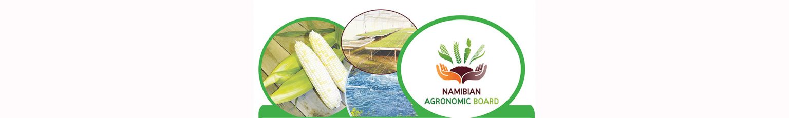 Extension of the NAB Board's term of office - NAB