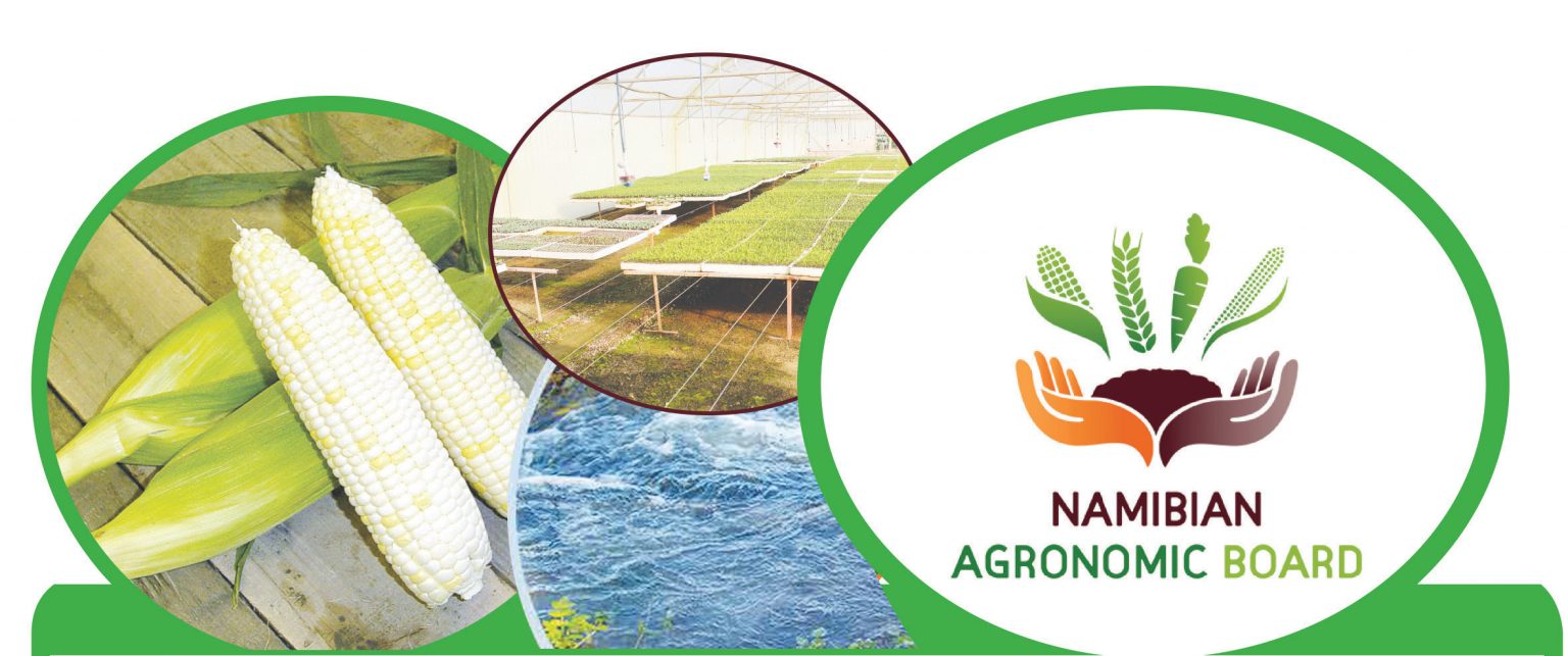 CALL FOR REGISTRATION of White Maize and Mahangu Farmers - 2021 Season ...